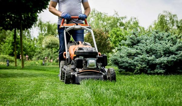 Gras maaien Alle ins- en outs omtrent het goed maaien van gras